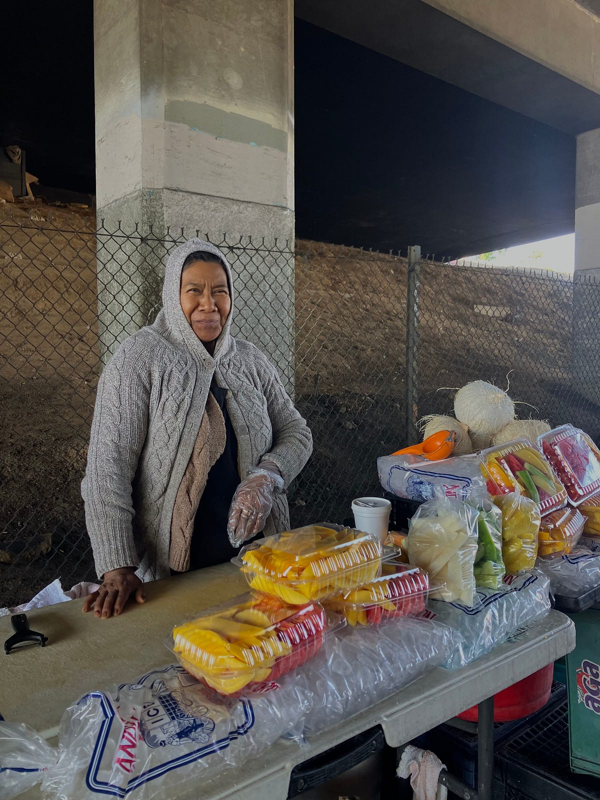 La Fruta de Vida. Debajo del Puente En Boyle Heights | by Alexandra ...