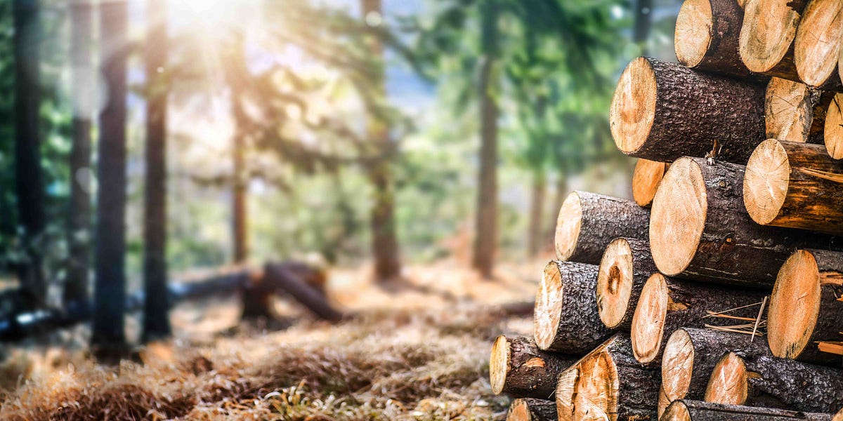 Forest residues as bioresources in circular bioeconomy | by Maja Berden ...