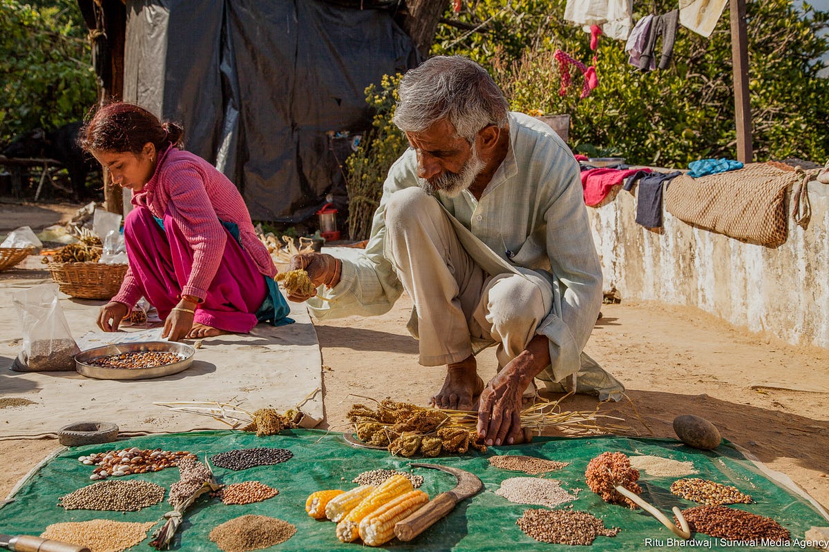 (Part I) Why traditional farming practices are Diminishing in Hilly ...