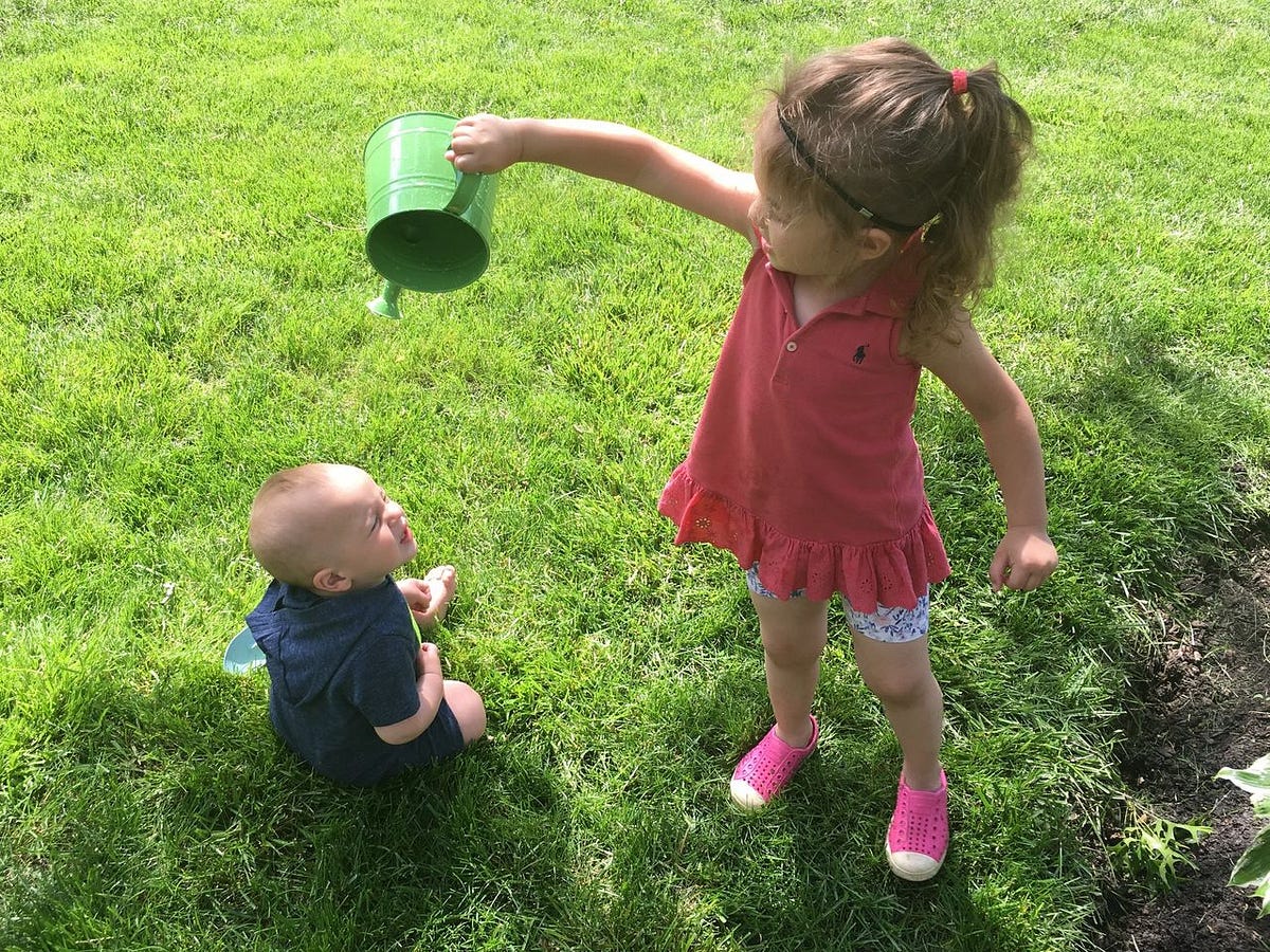 Spring up. How do you define the word grow? | by Erika Rakas | Medium