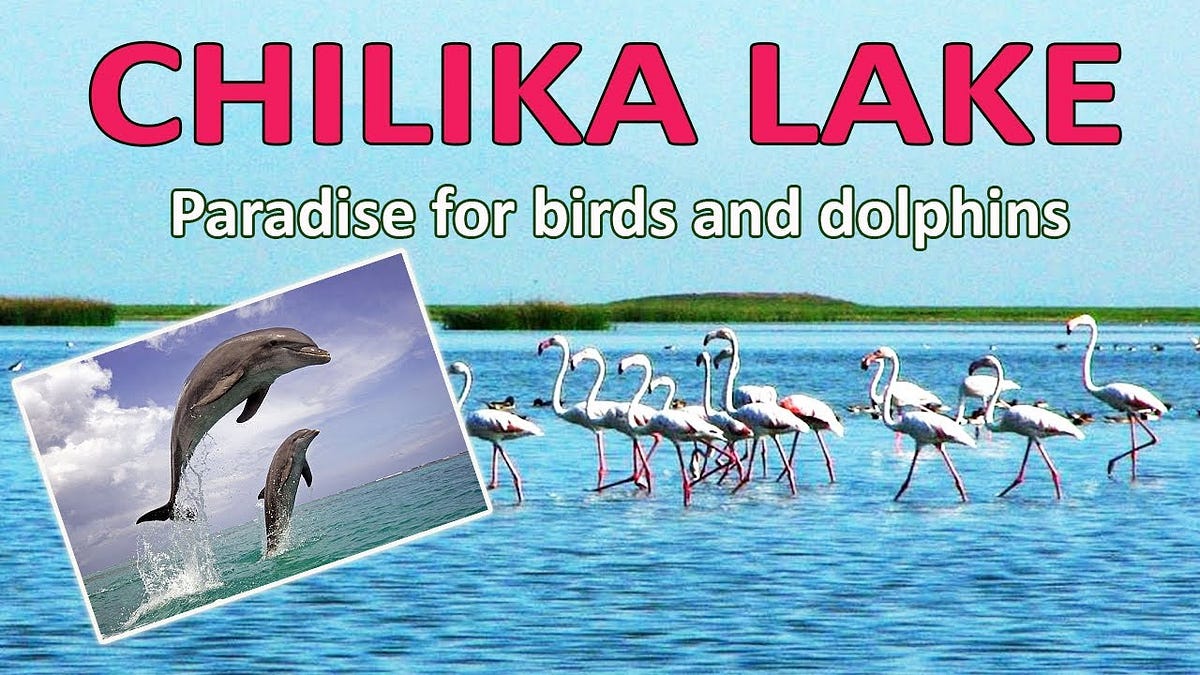 Beautiful Natural Lakes in India to Travel with family & friends ...