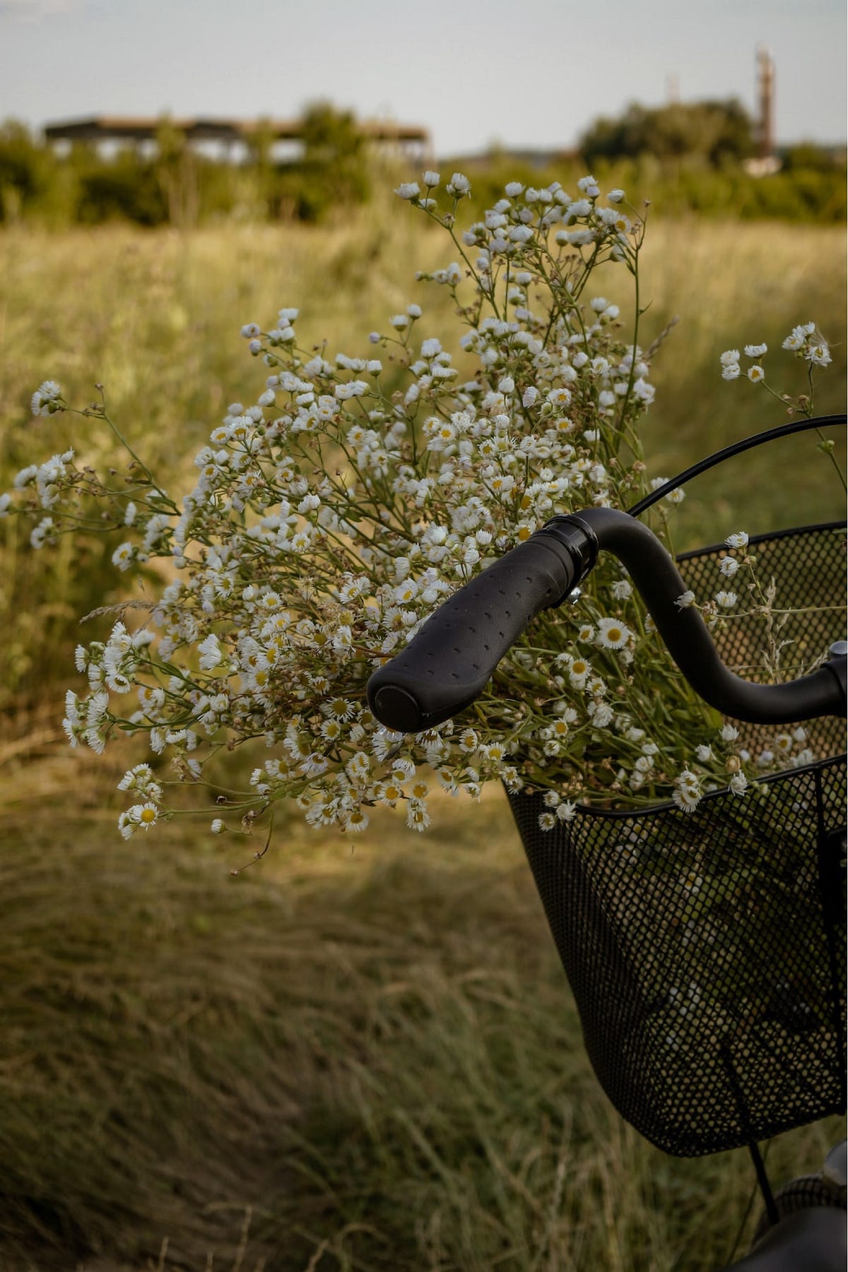 4 Ways To Live More Simply. The less you possess, the freer you… | by ...