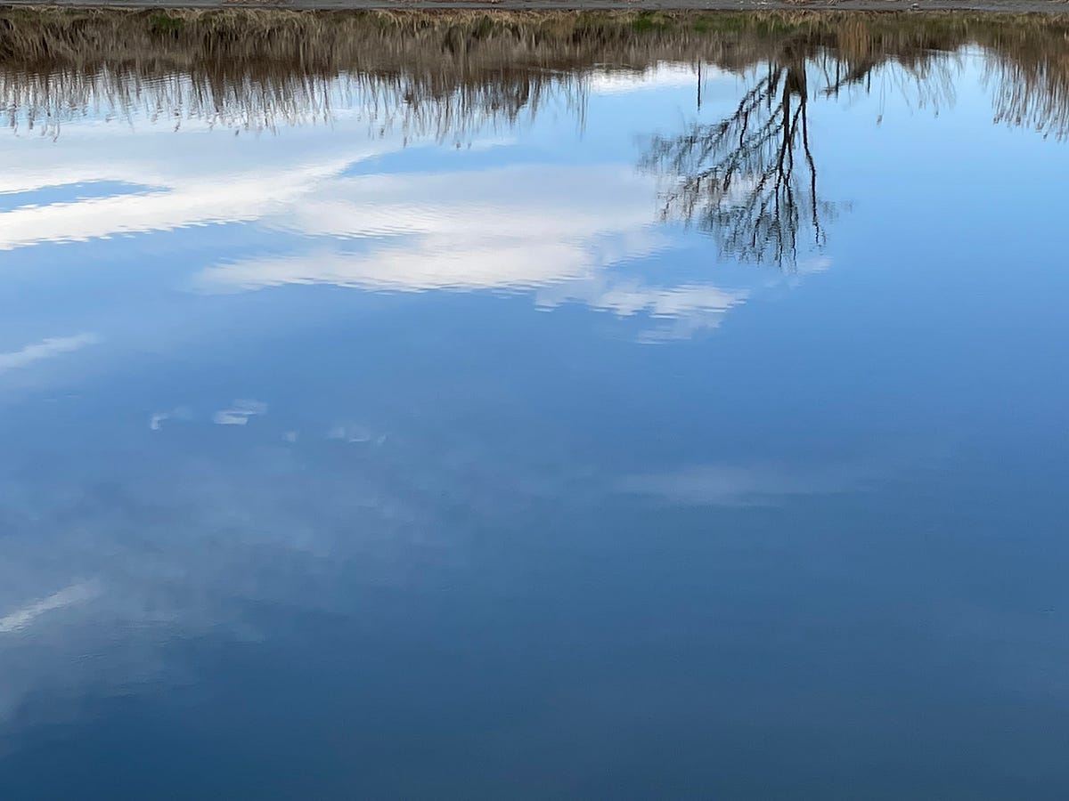 A Poem - Ambiguity - Miki Angelis - Medium