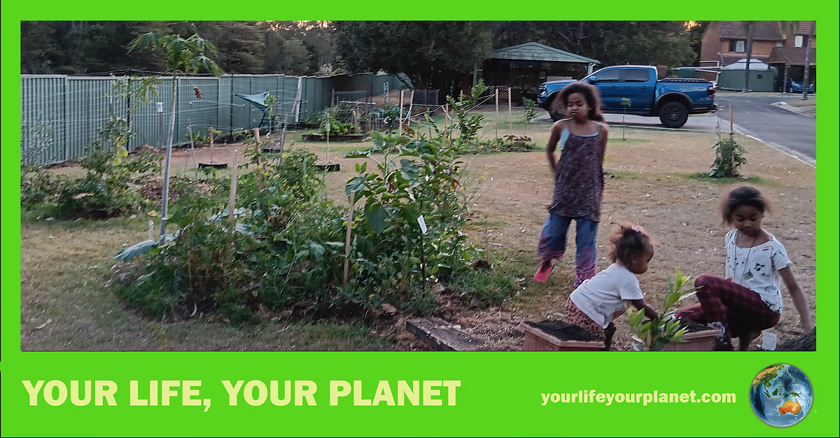 From grass to garden?. Sounds like a dream, but no dig… | by Geoff Ebbs ...