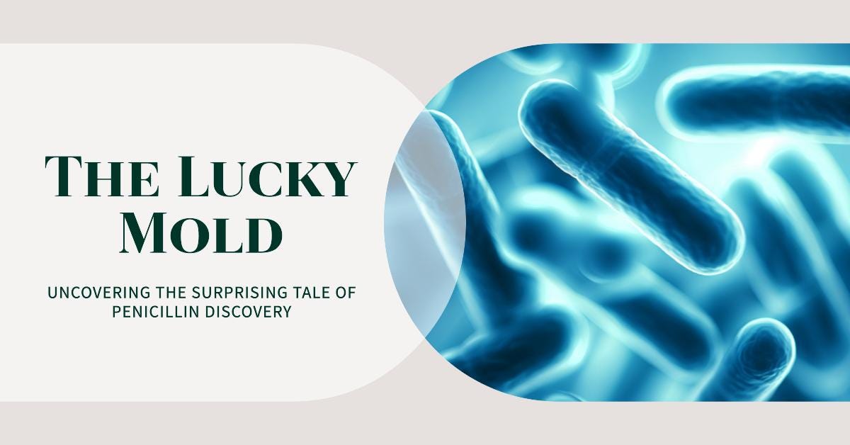 Story Of Penicillin Discovery
