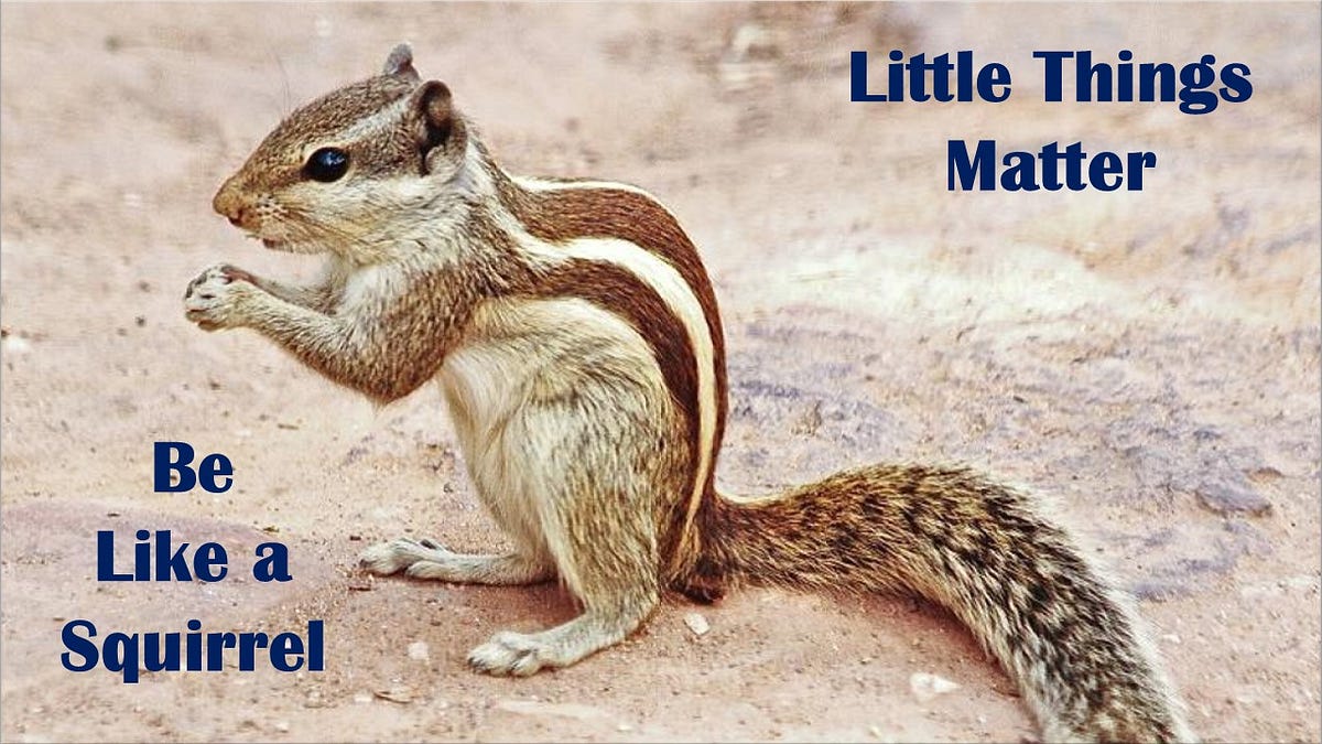The Power of Little Things: A Timeless Tale of Purpose | by Rama ...