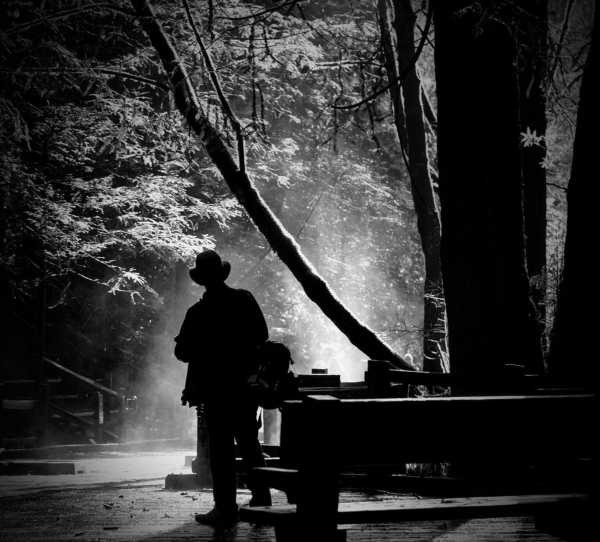 Photography With Meaning
