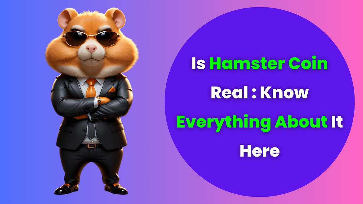 Is Hamster Coin Real? : Know Everything About It Here — Hamster Kombat ...