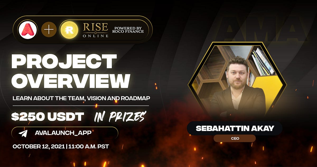 RocoFinance x Rise Online AMA#1 — Project Overview with Sebahattin Akay ...