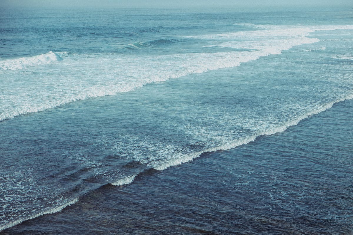 Serenade of the Shore. This year felt like waves hitting the… | by ...