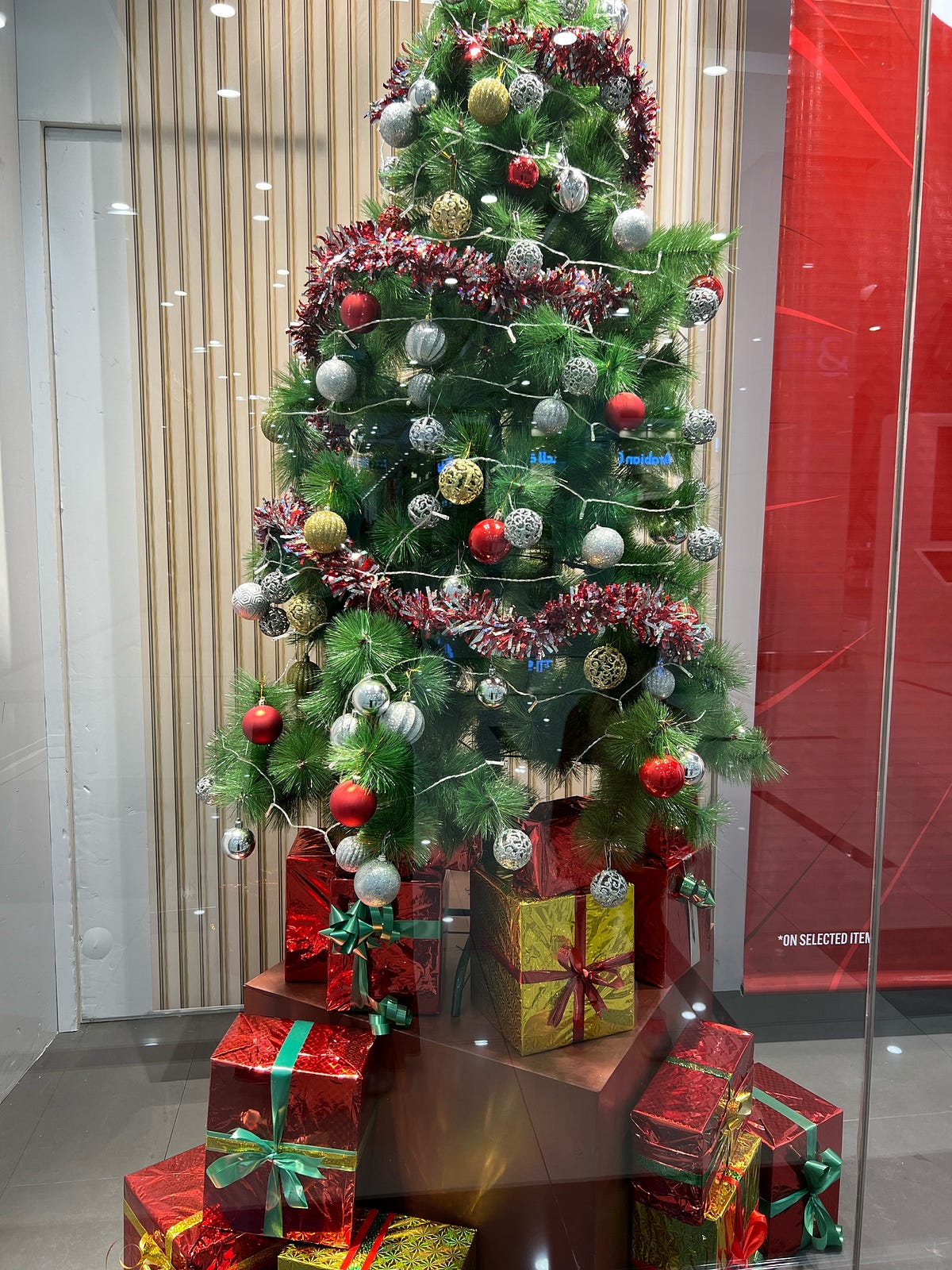The Evergreen Tree. Holy Significance | by Paras Ali | Good Vibes Club ...