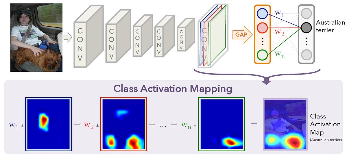 Papers Explained : Discriminative Localization in 4 mins. | by ASLAM ...