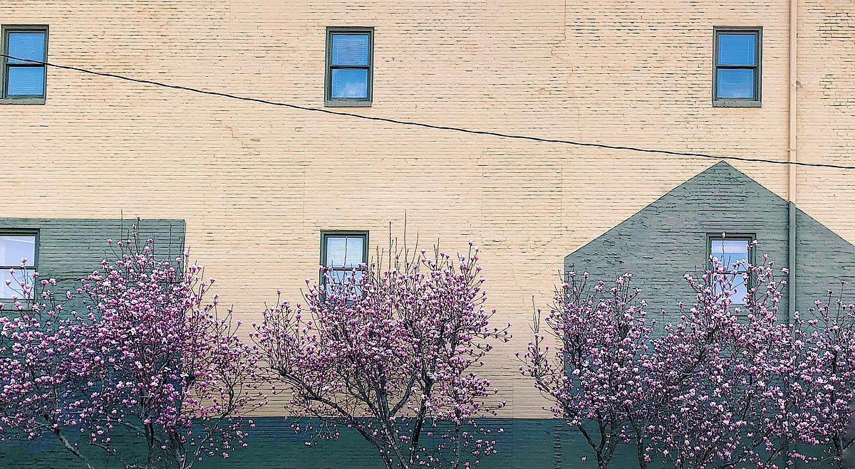 That Downtown Bridgeton Vibe —. Many downtowns you visit are a… | by ...