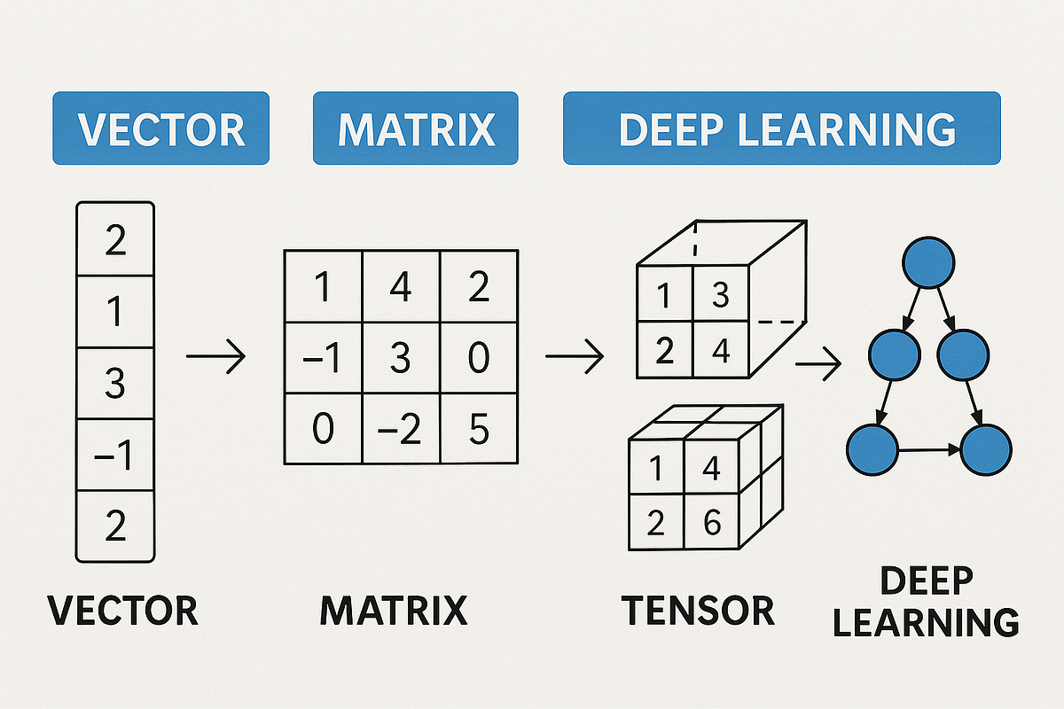 Vectors, Matrices & Tensors: The Language of Machine Learning | by Rahul Nair | Sep, 2025 | Medium