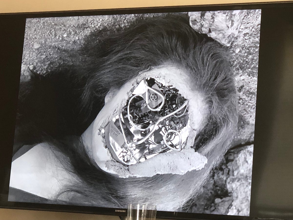 Robot Racism? Yeah, It’s A Thing | by Randy Smith | An Idea (by Ingenious Piece) | Medium