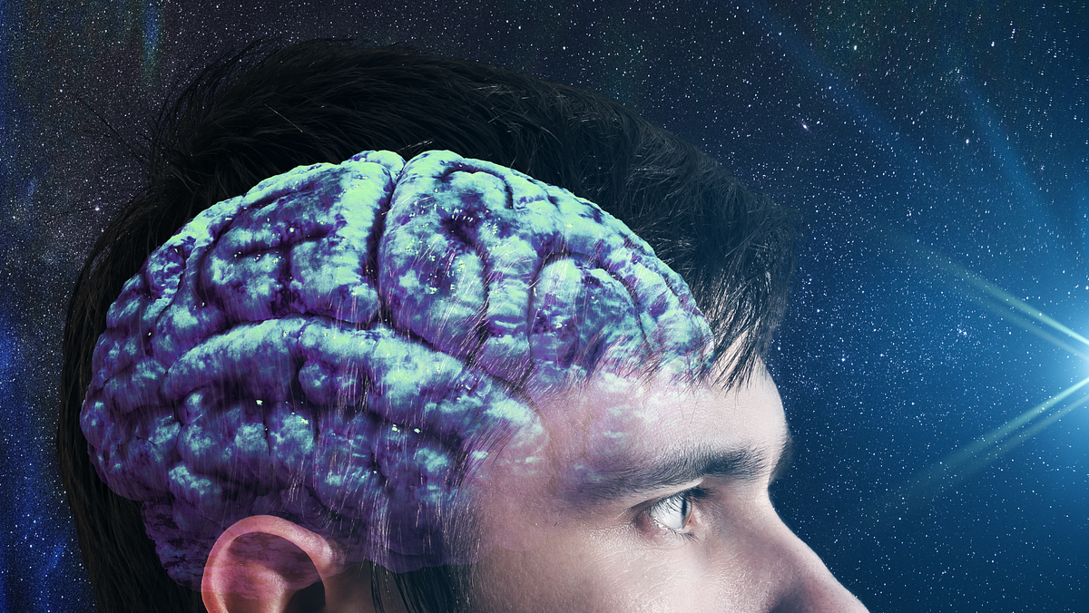 Imagination: The Key to Consciousness and Creative Evolution | by ...
