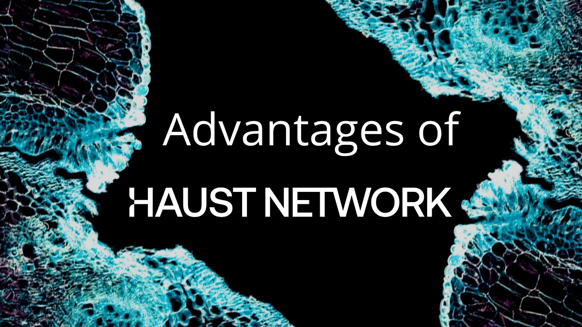Advantages of HAUST Network. 1. Enhanced Scalability | by Roberto | Medium