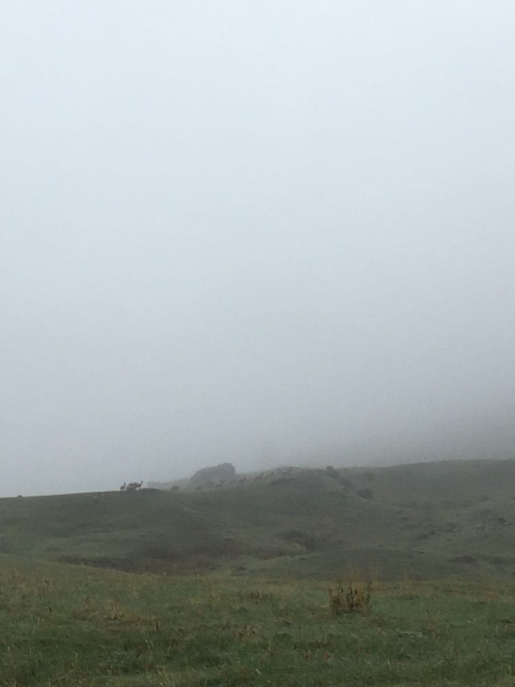 Fighting The Fog. Clearing Your Thought Process | by Michael Horner ...