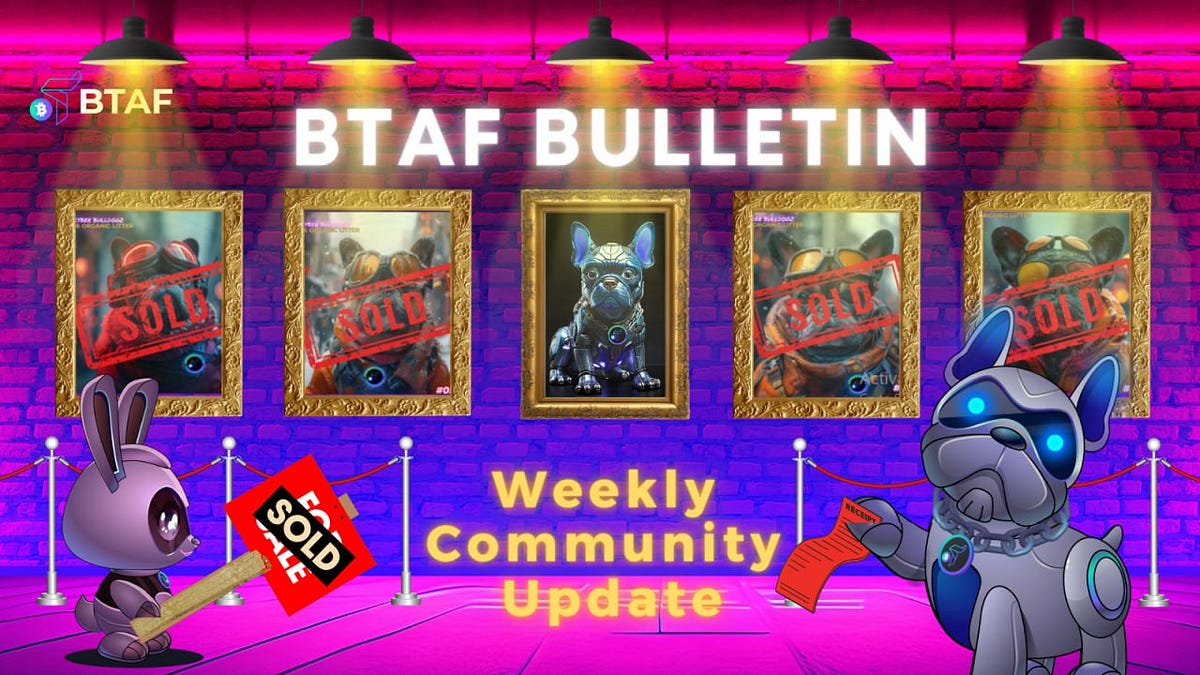 🐶🛍 BTAF token weekly bulletin #66–7 April 2024 | by BTAF token | Medium