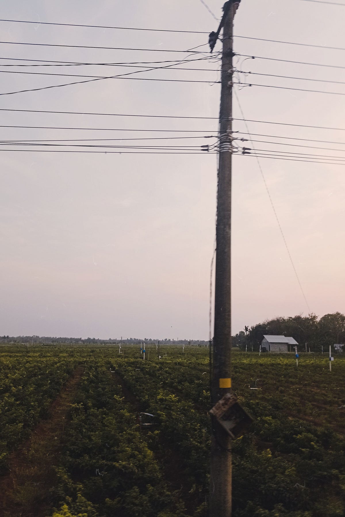 Bisu | October 2025 - Meja Sajak - Medium