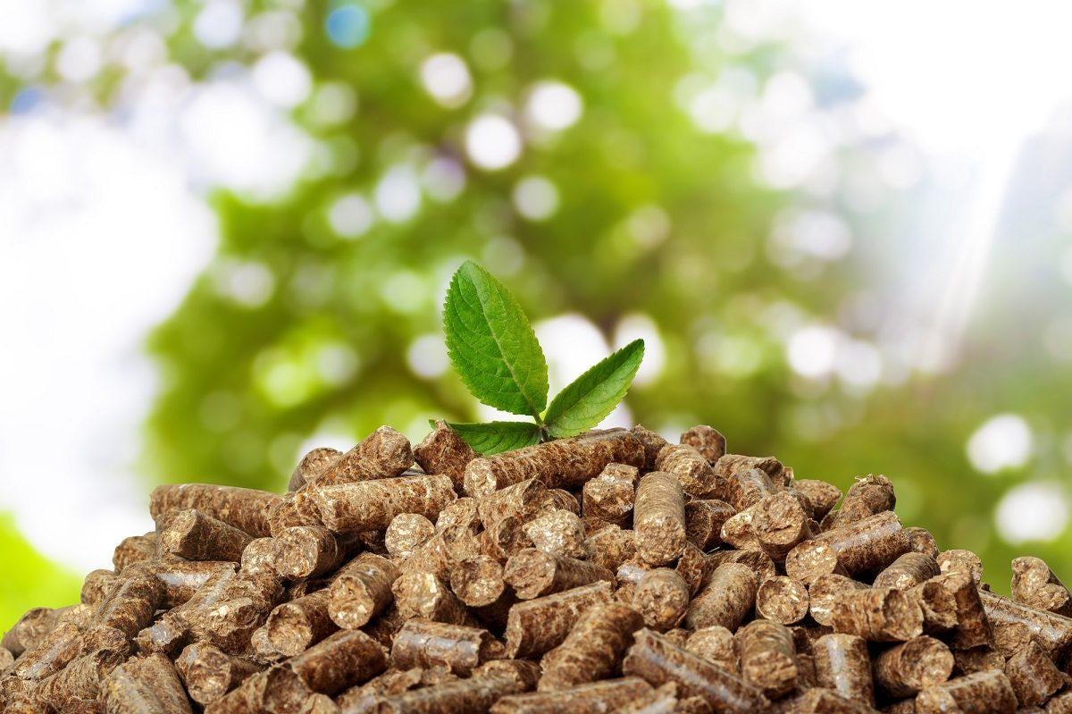 Biomass Solid Fuel: An Environmentally Friendly and Sustainable Energy ...