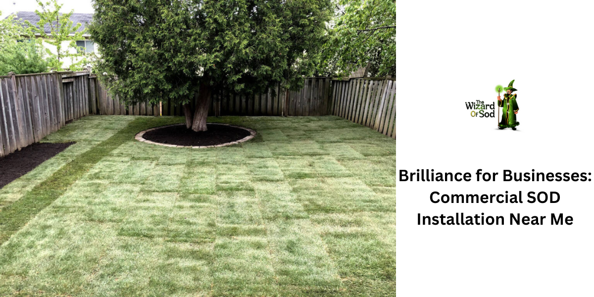 Brilliance for Businesses: Commercial SOD Installation Near Me | by The ...
