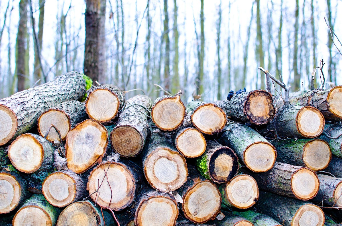 A Guide To Application Logging. Tips on how to avoid missing the forest ...
