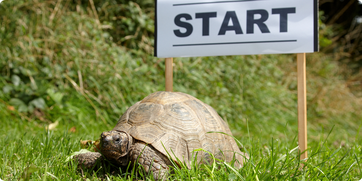 The Power of Small Steps: Why Going Slow Is the Smartest Way Forward ...