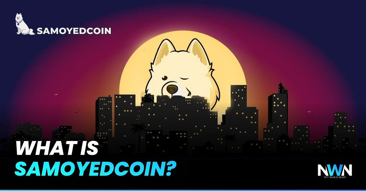 SAMO: More Than Just A Memecoin. Quick Summary | by NFT World News | Medium