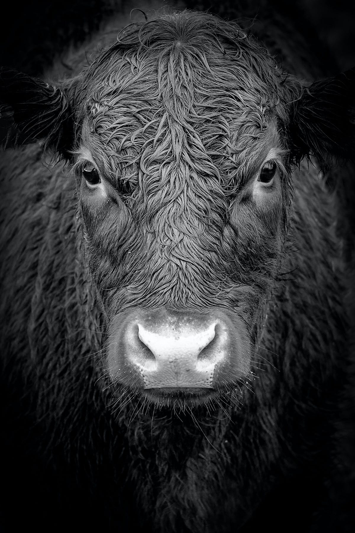 What is The Bullseye Framework and why do you need it? | by Mykhailo ...