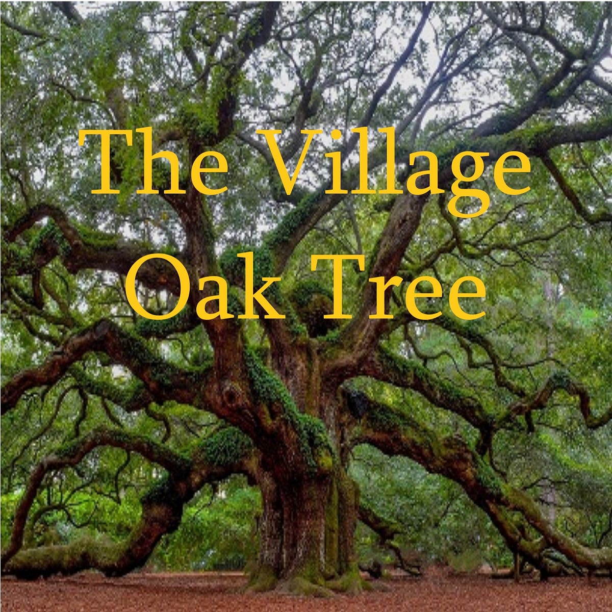 The Village Oak Tree. Season 2, episode 1 for the Celtic New… | by ...