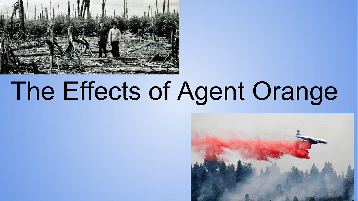 The Effects Of Agent Orange | by Evan Conover | G Period (2017–18) | Medium