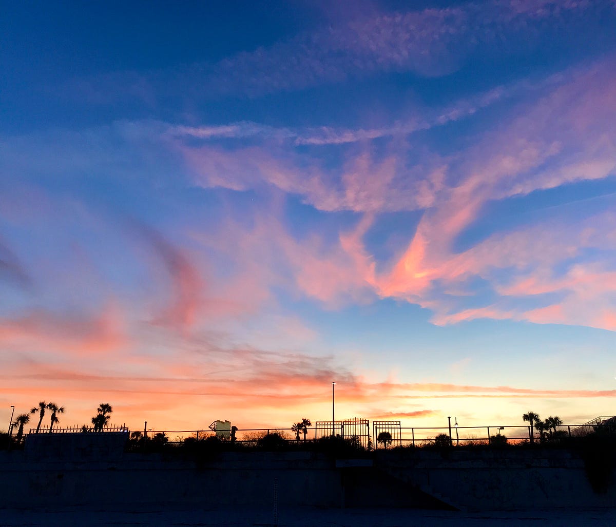 Florida Haiku. Florida beauty | by Lucinda Ritter | Medium