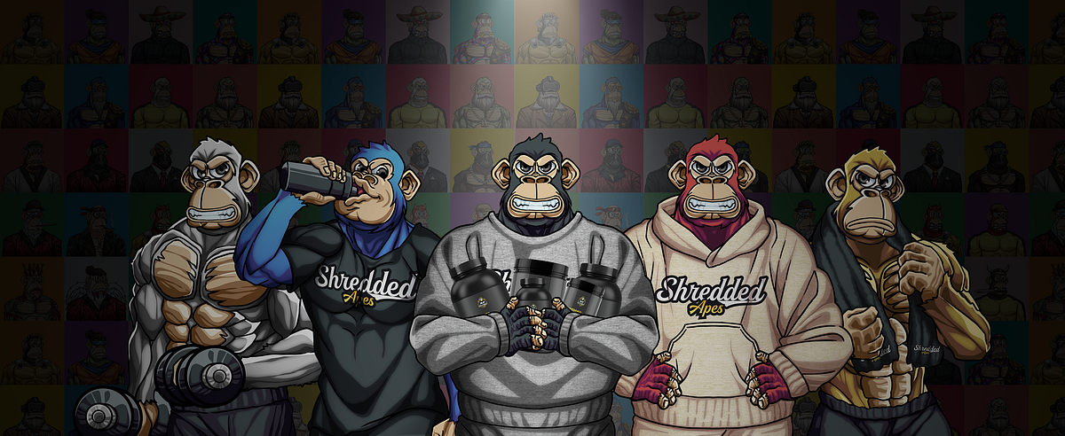 1 Year of Shredded Apes. One year ago.. | by Pengucci | Medium