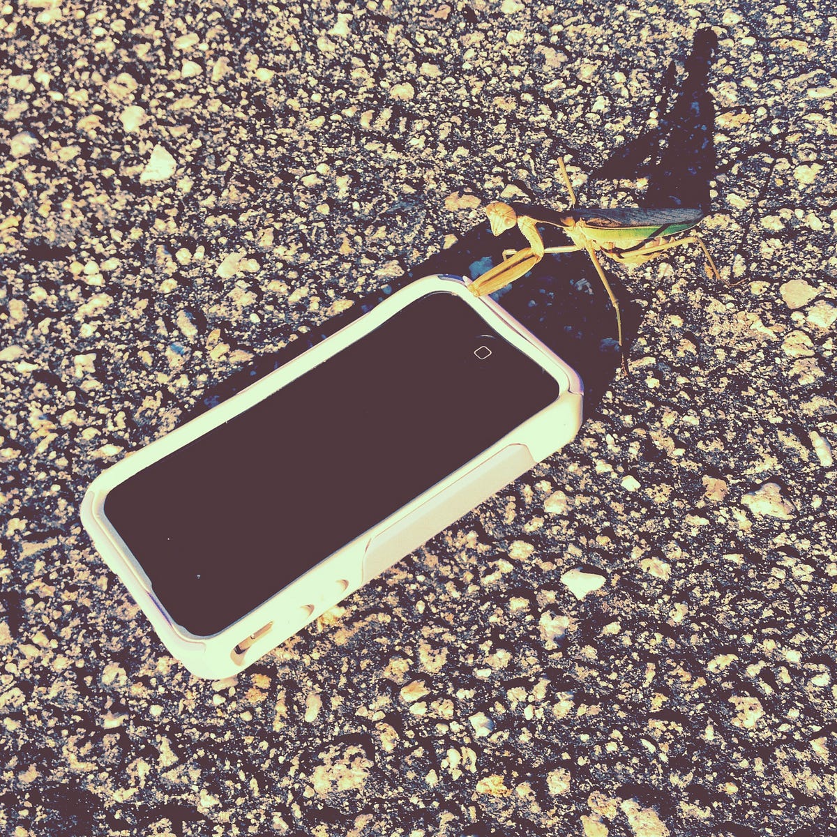 The modern designer.. A resourceful, creative, courageous… | by Jason ...