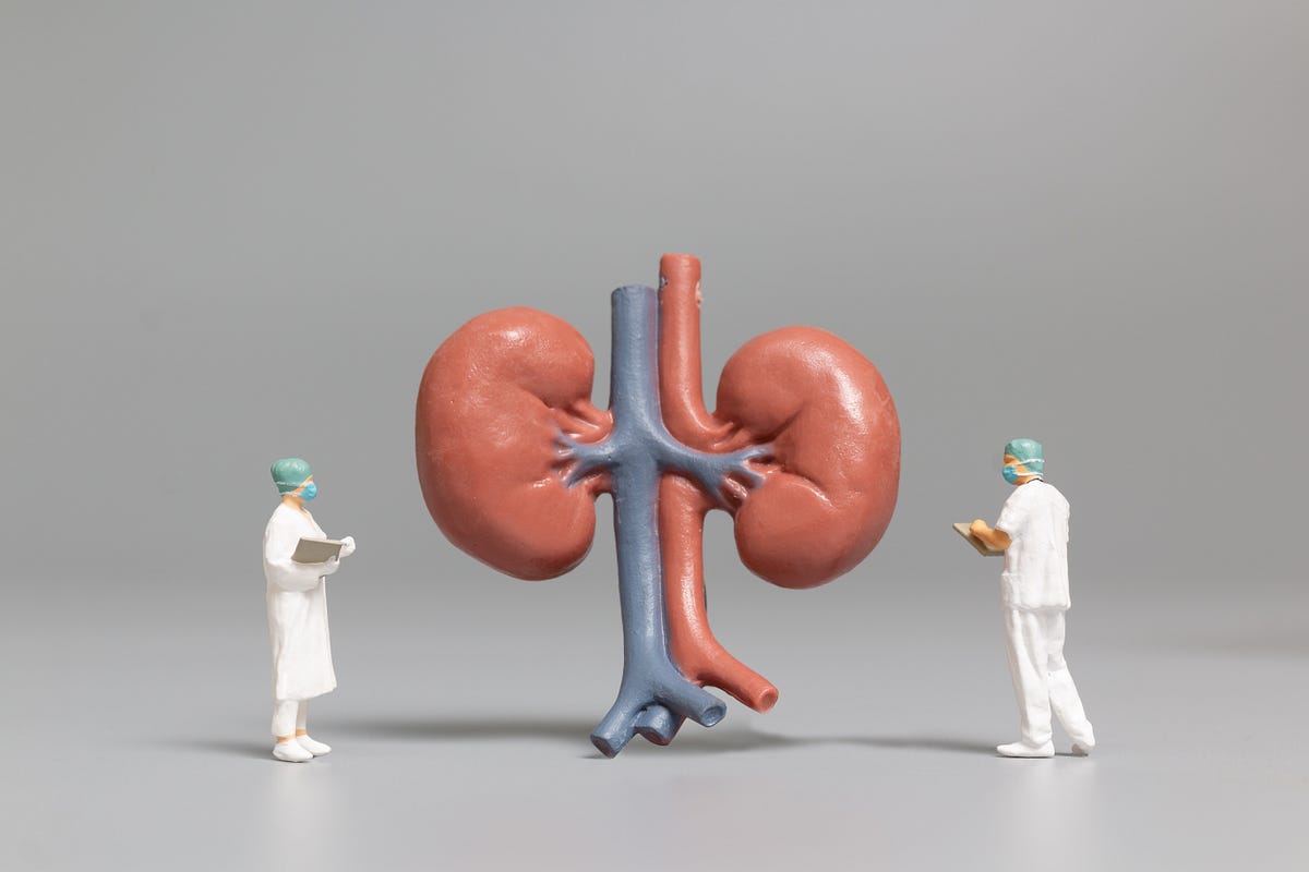 Is low kidney function (eGFR) a sign of kidney failure? | Zyla Health