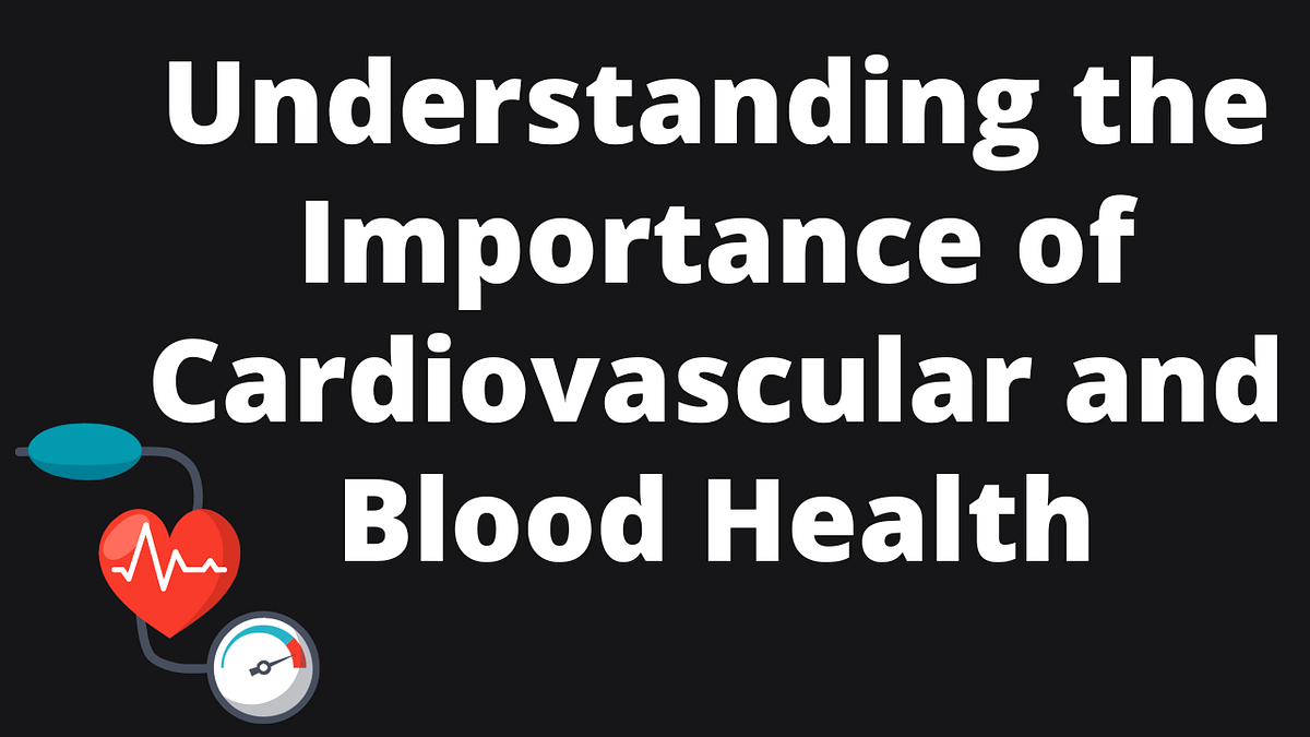 Understanding the Importance of Cardiovascular and Blood Health | by ...