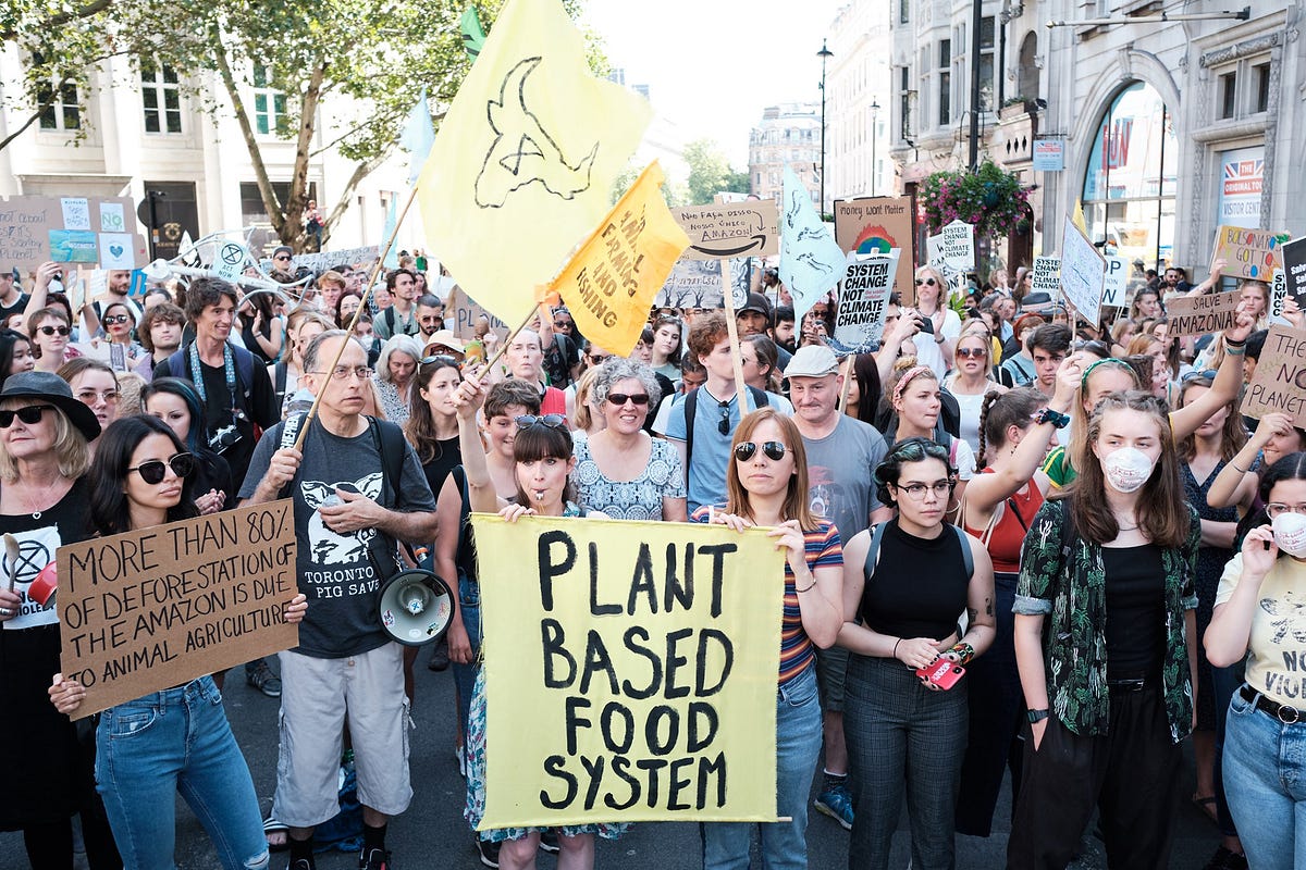 What is Animal Rebellion’s relationship with Extinction Rebellion? | by ...