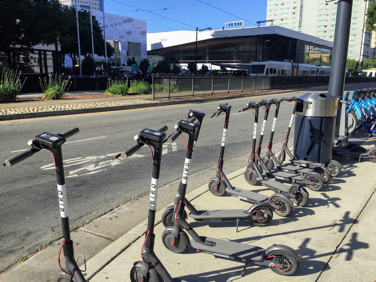 My first electric scooter experience in Golden Gate park | by Erk Ekin ...