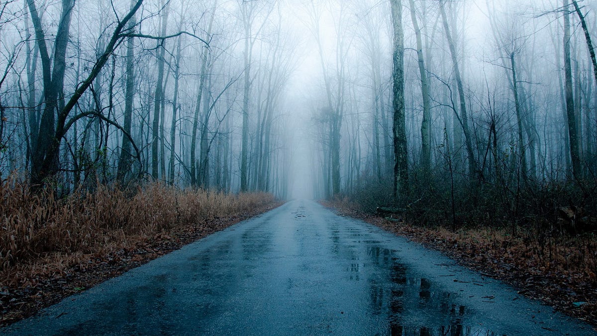 Winter Rain Haiku. Rain in the Winter Tapping on Windows… | by Joshua D ...