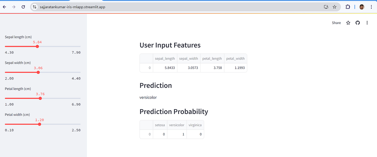How to Boost Your Machine Learning Portfolio with Streamlit App ...