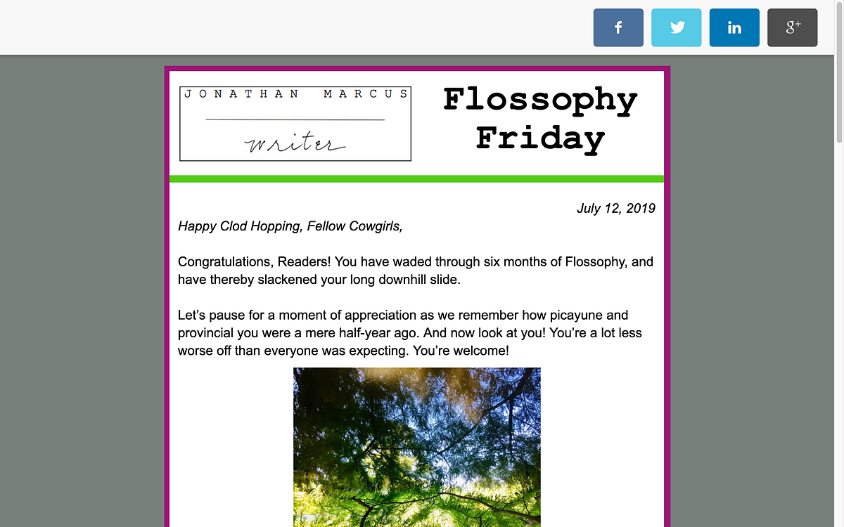 Flossophy Friday, July 12, 2019. Click here to read the rest of… | by ...