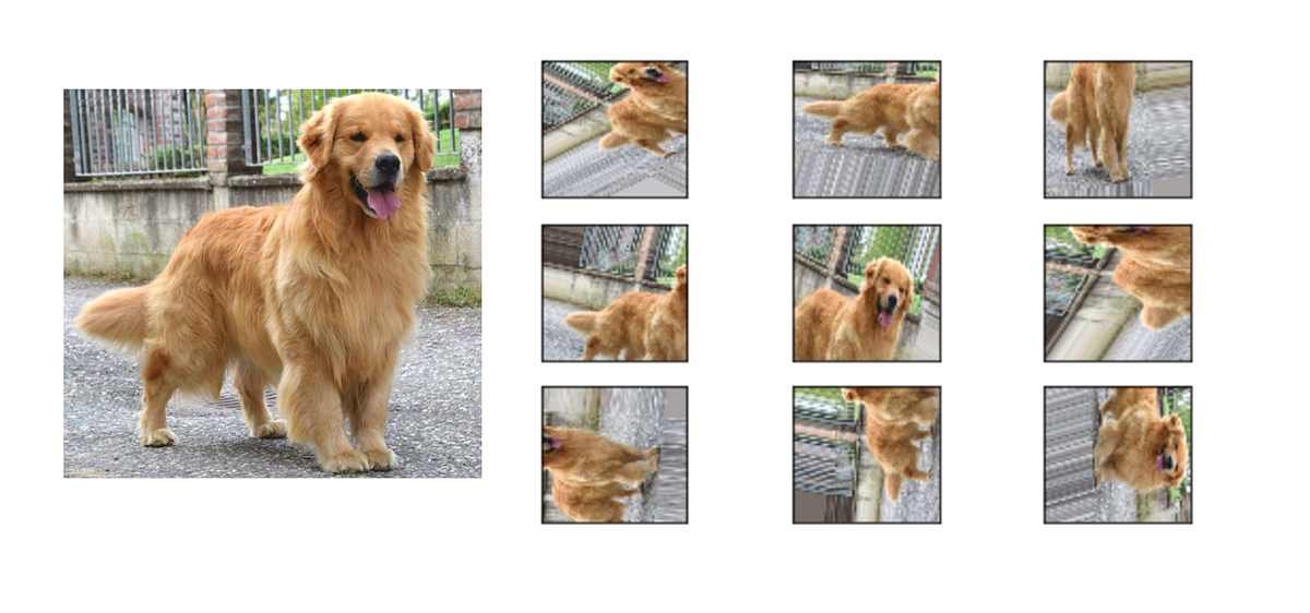 Tensorflow ve Keras ile Data Augmentation | by Onuryilmaz | Google ...