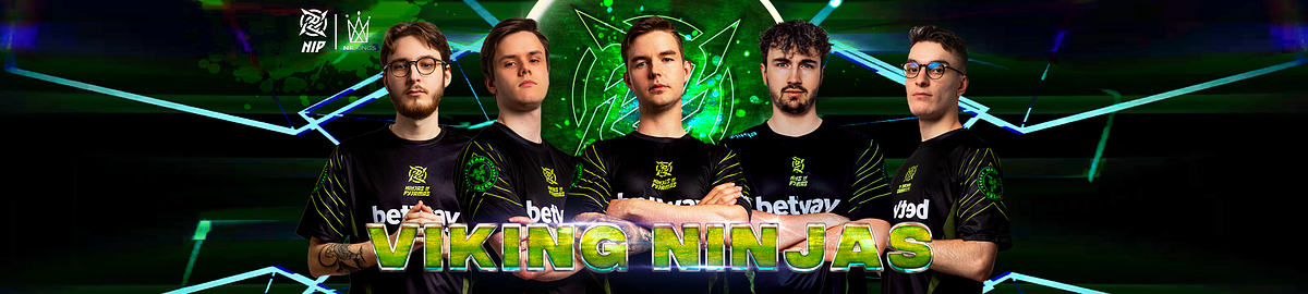 Ninja in Pyjamas: Introducing the Viking Ninjas | by NFKings | Medium