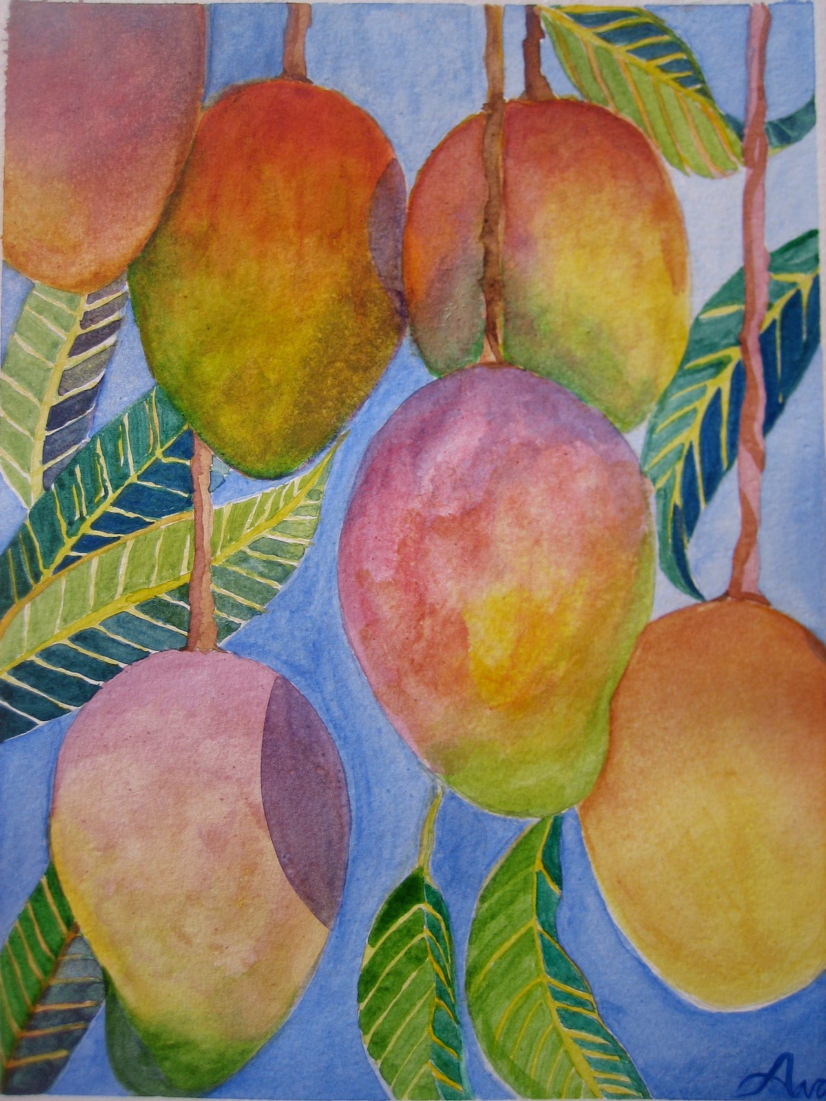 Miss Mango. Mangos from Hawaii are the best. They… | by Ava Liang Zhao ...