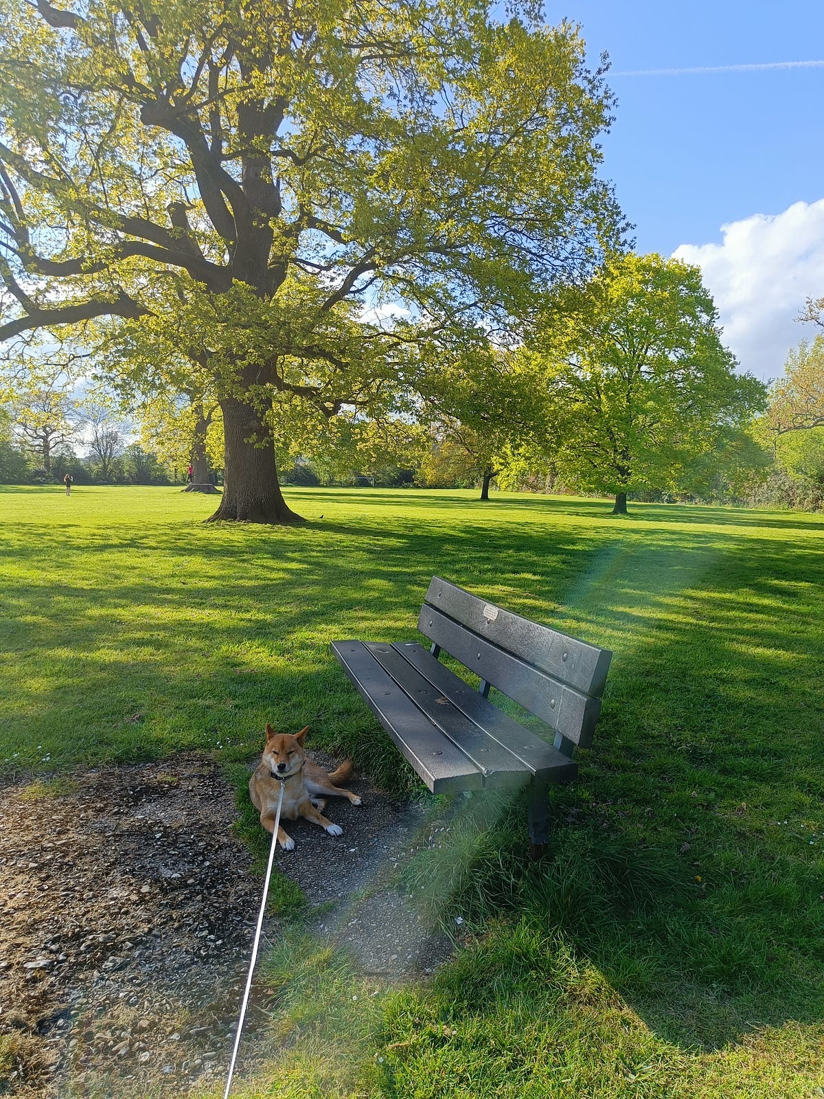 Learning to enjoy the space in-between | by Laura Varley | Medium