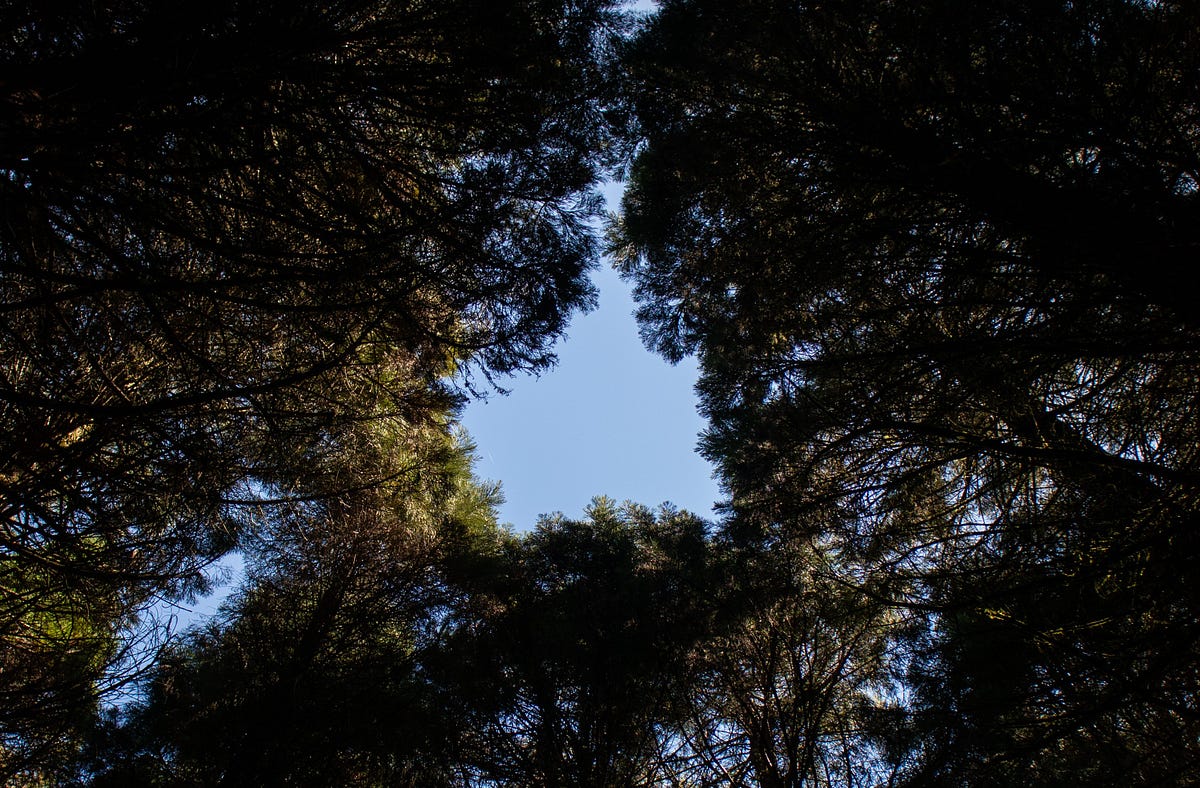 The starting of a new project!. Over the last several years, I have had ...