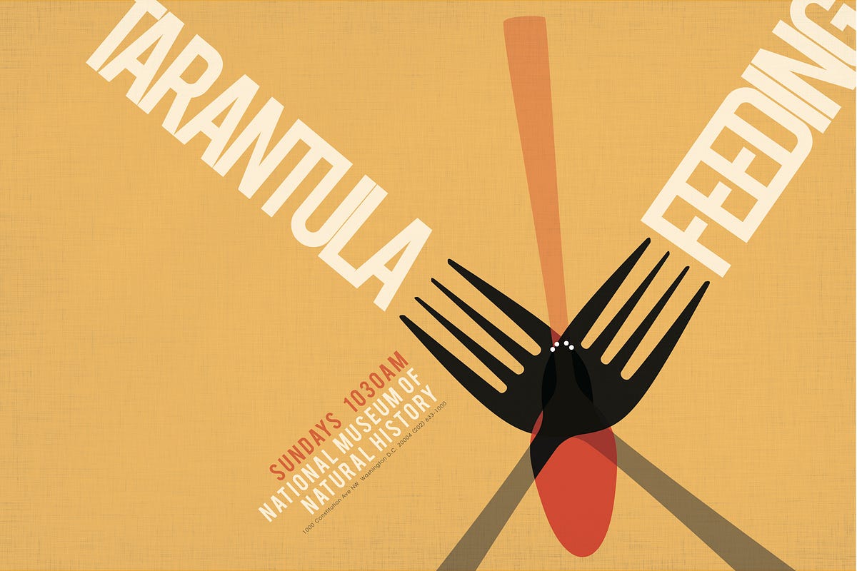 NMNH Tarantula Feeding Poster | by Alana Stanley | Medium