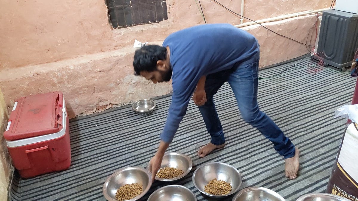 Mythological author Nilesh Kumar Agarwal celebrated Diwali by ...
