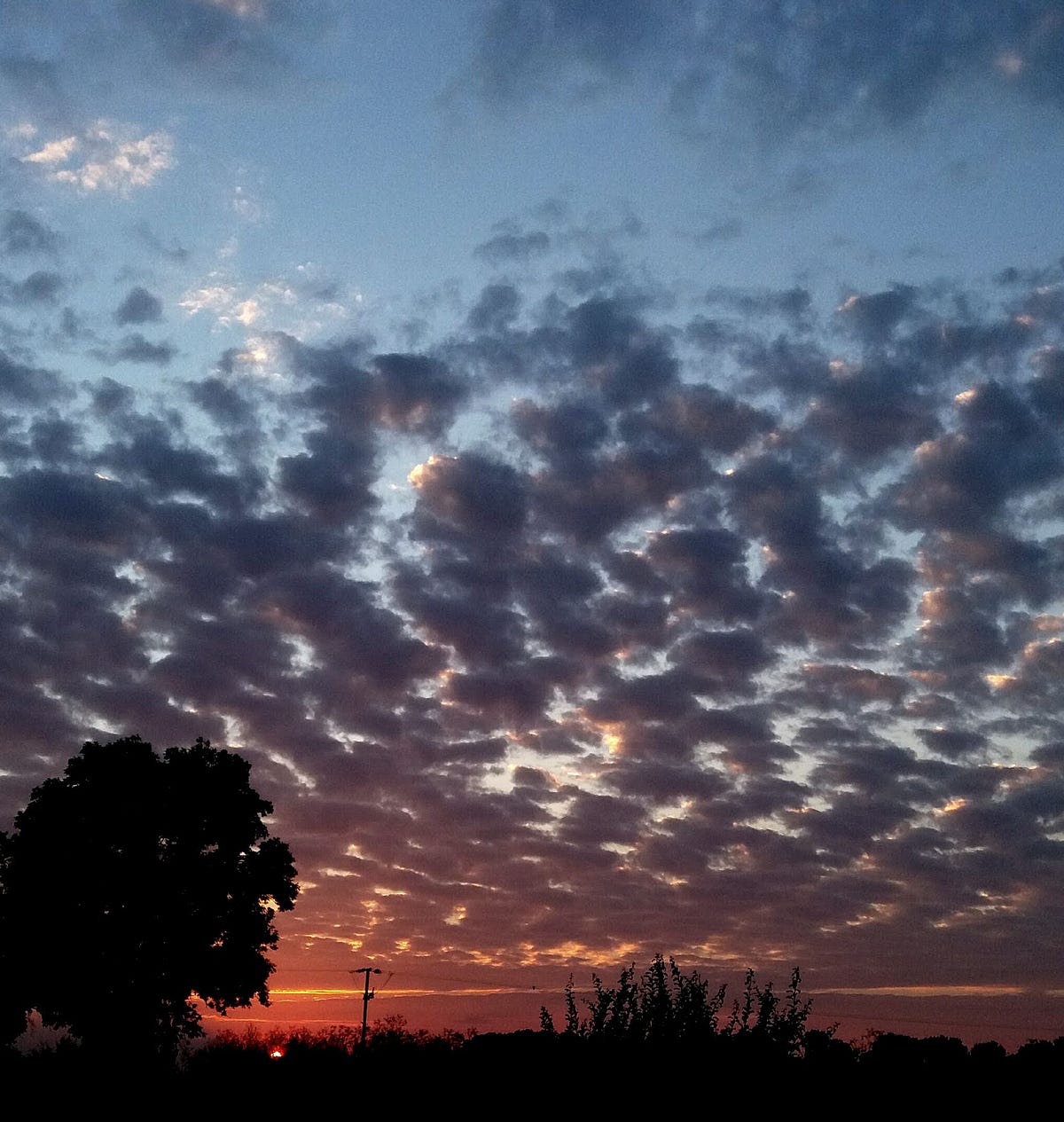 When we rise - Scrittura - Medium